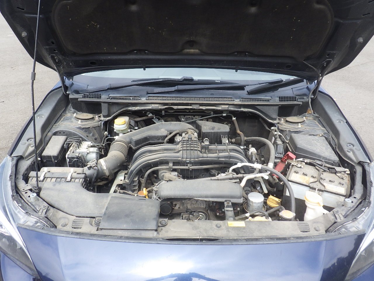 Nihon Car Connection Co. Ltd